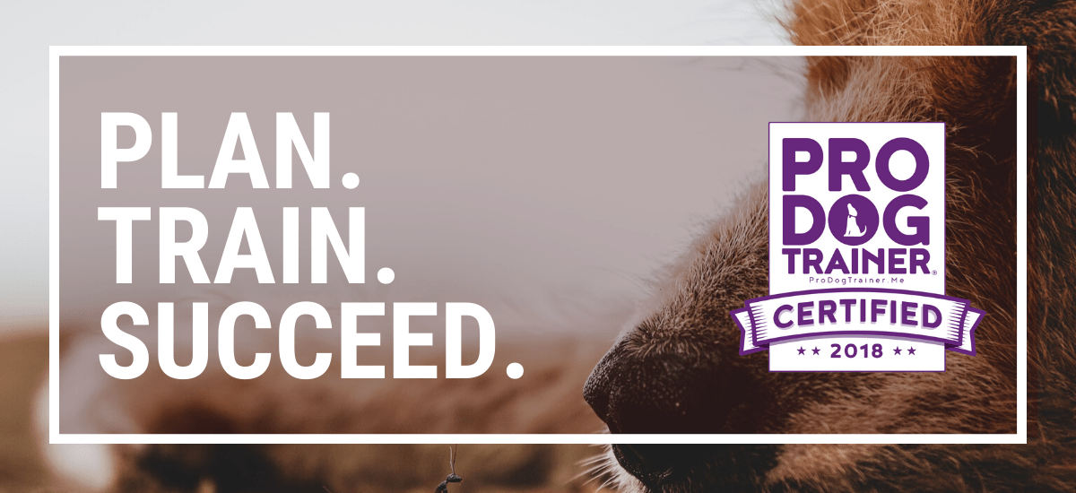 Home - Listen Dog Blog