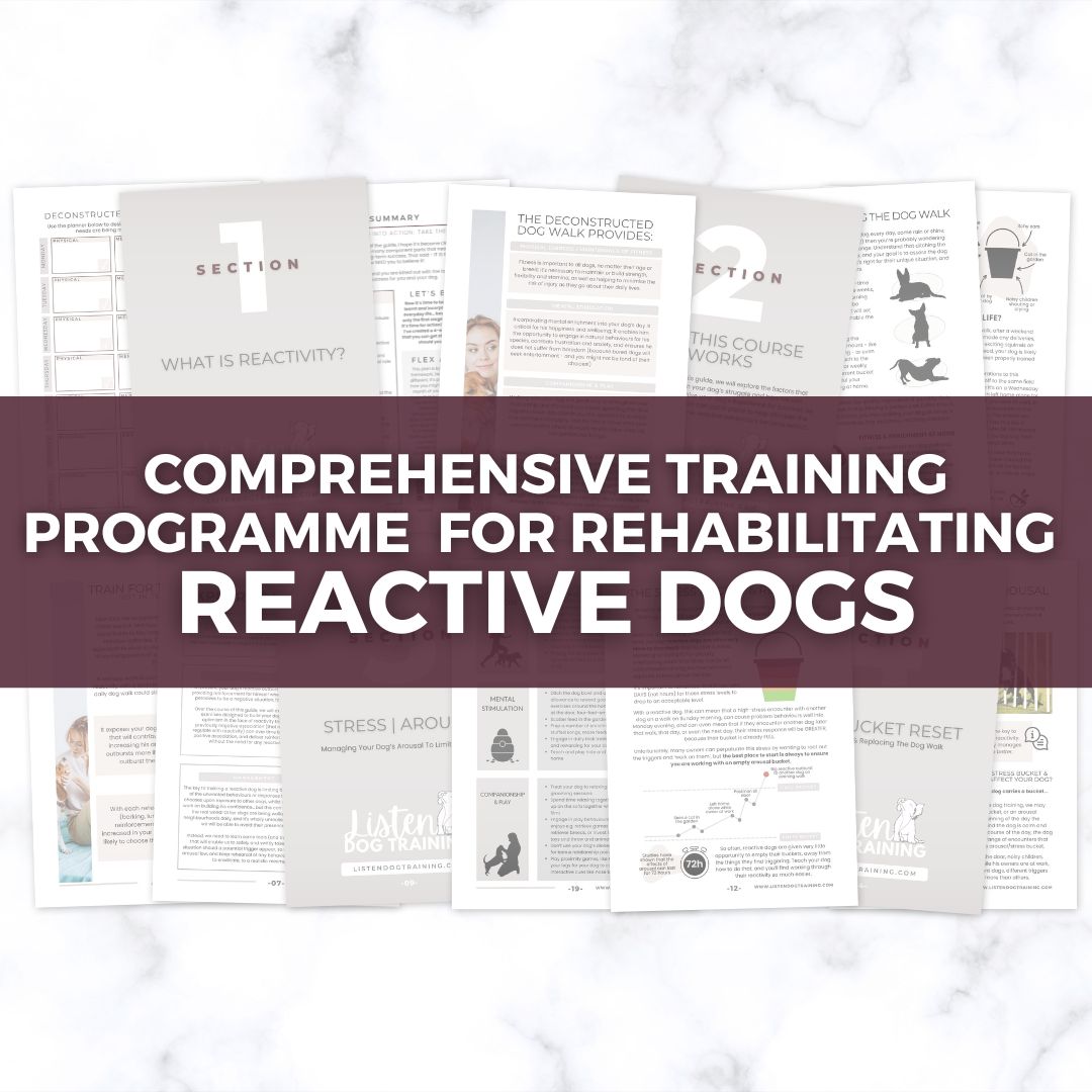 Reactive Dog Training Course | Full Programme + 28 Days of Training Map ...