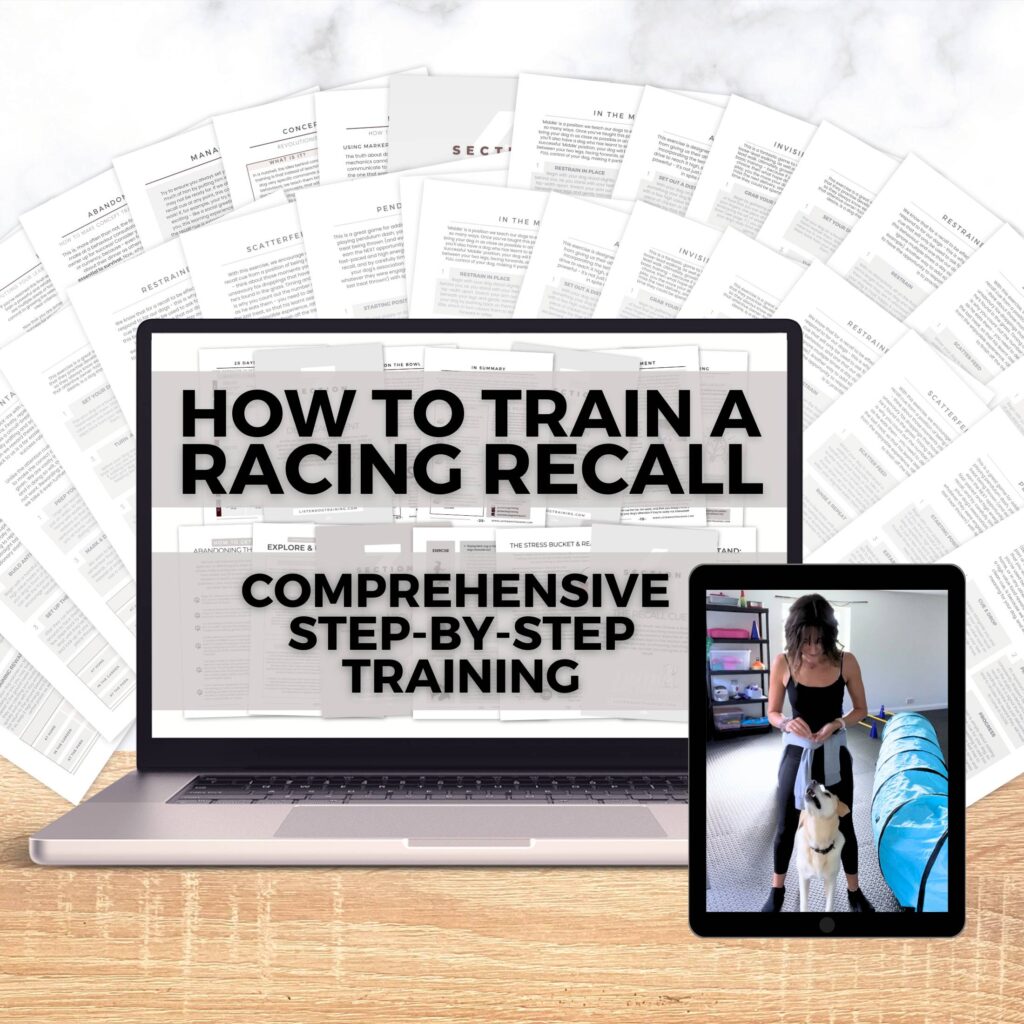 How To Train A Racing Recall | Full Programme + 28 Days of Training Map ...