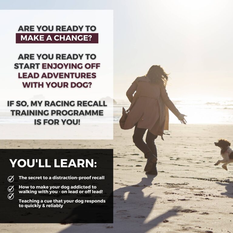 How To Train A Racing Recall | Full Programme + 28 Days of Training Map ...