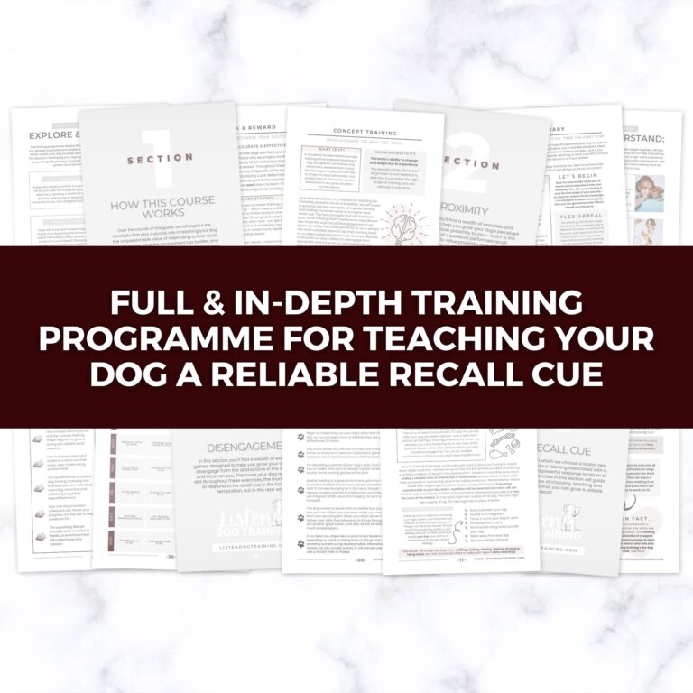How To Train A Racing Recall | Full Programme + 28 Days of Training Map ...
