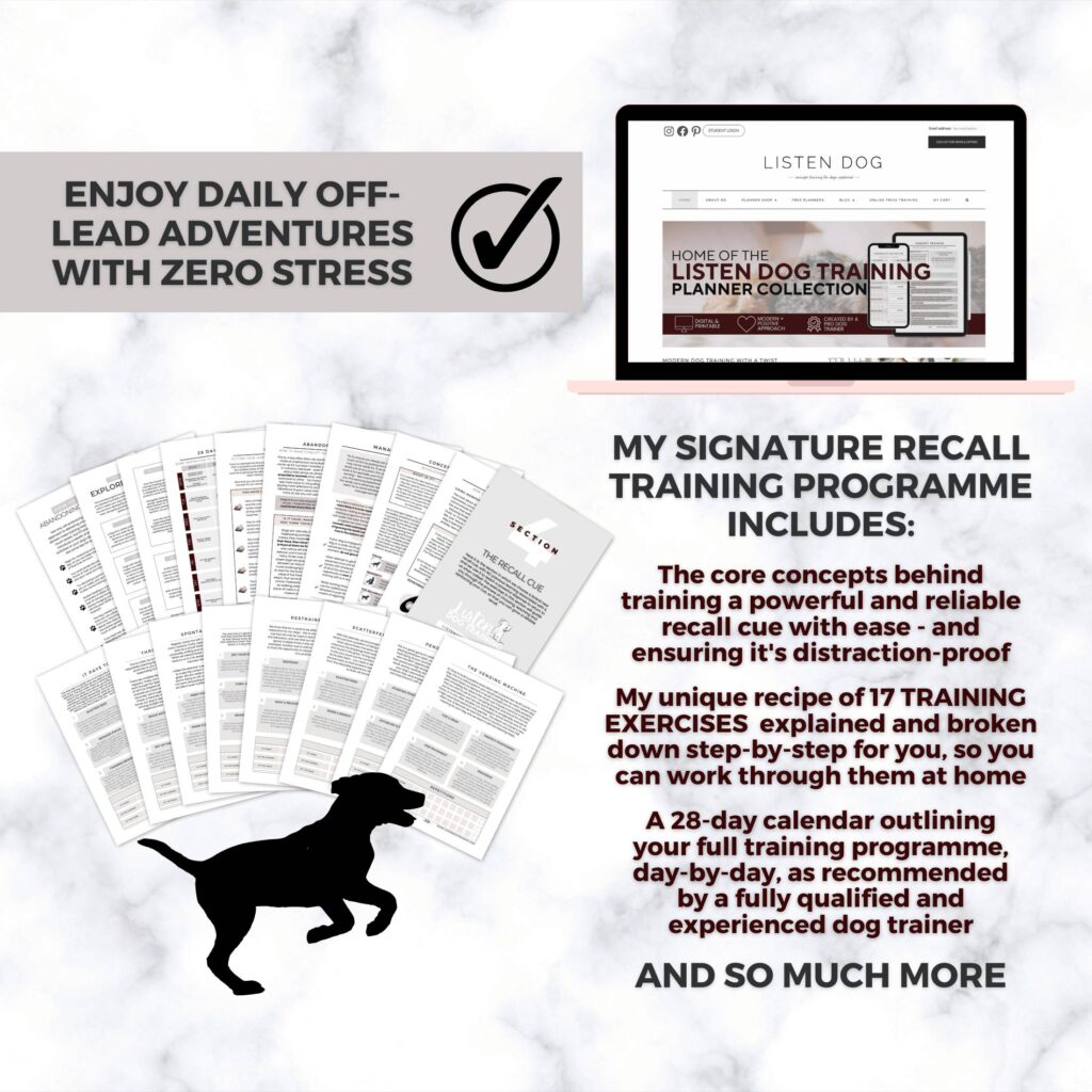 How To Train A Racing Recall | Full Programme + 28 Days of Training Map ...