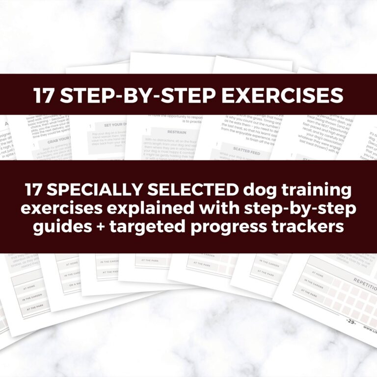 How To Train A Racing Recall | Full Programme + 28 Days of Training Map ...